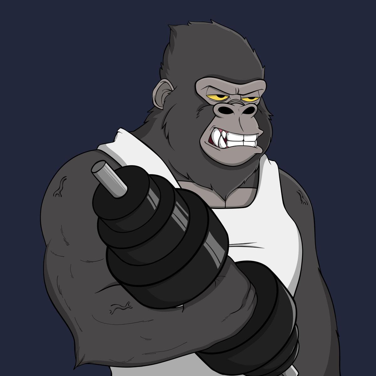 Analyse Morpho-Anatomique – LeSinge Coaching